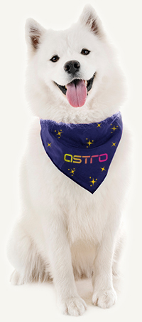 Starline - Building Your Brand